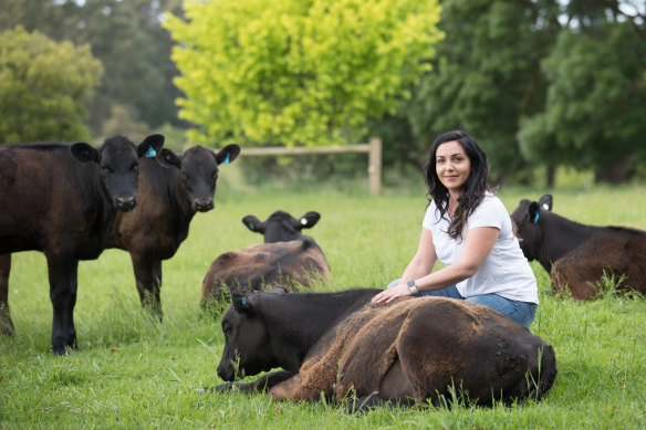 Victorian Farmers Federation to be led by all-female team for first time