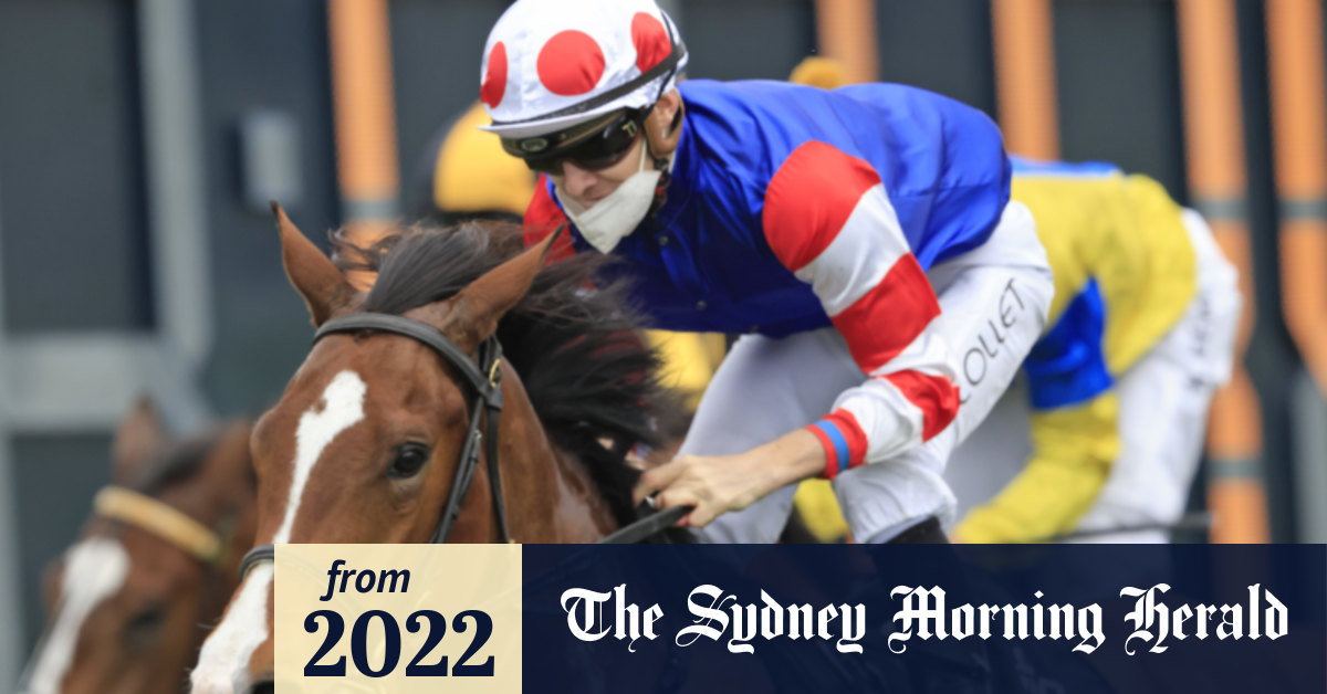 Portelli hoping all his pigeons to come home roost on golden weekend