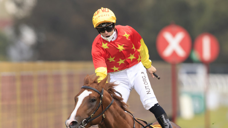 Prepare for Ross Lyon like you’ve never seen before - Sport news ...