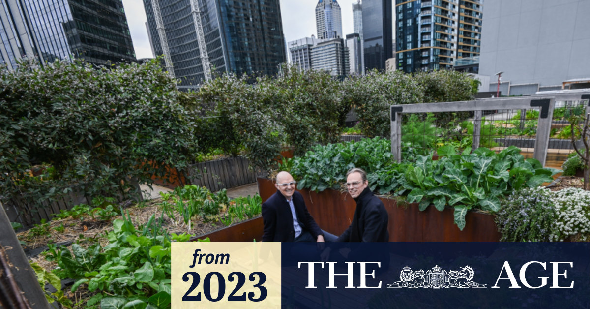 How Melbourne’s high-rise car parks could become urban farms and ...