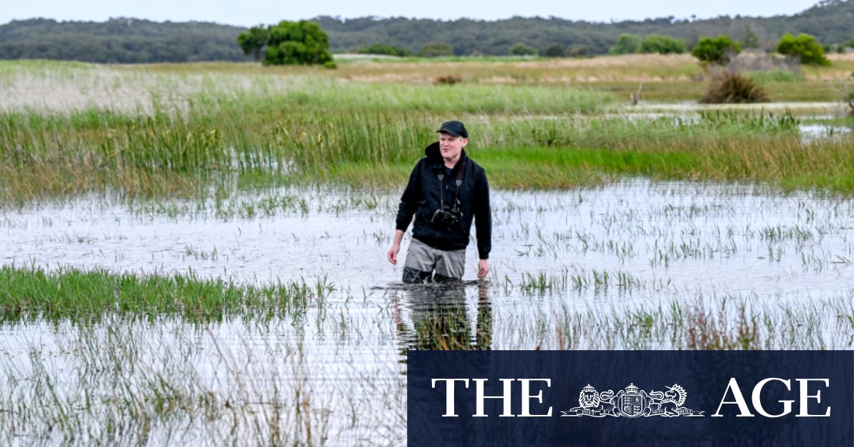 Here’s where record-breaking rains and floods have benefitted Victoria ...