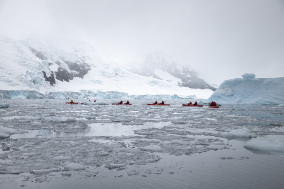 ‘Superpower’ bacteria discovered in Antarctica