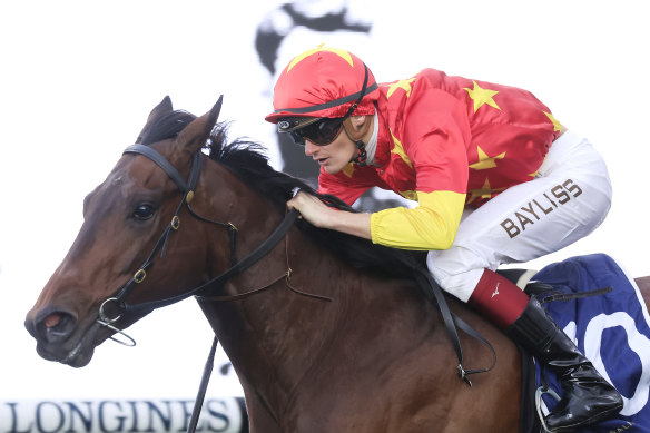 Regan Bayliss out to continue red-hot form with Omni Man at Rosehill