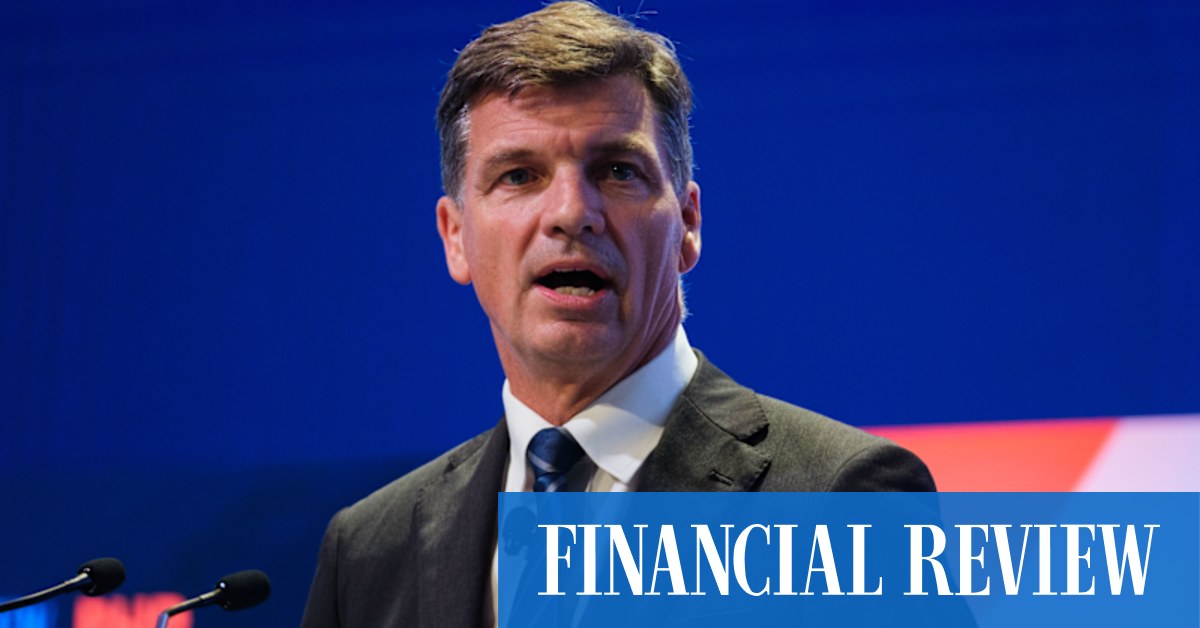 Election 2025: Coalition’s Angus Taylor pledges two new investment ...