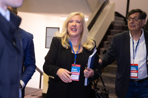 Victorian Liberal Party: Philip Davis elected as state president, vows ...