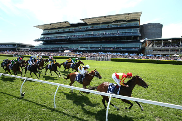 Randwick Kensington races Wednesday: Paul Murray aiming Winning Point ...