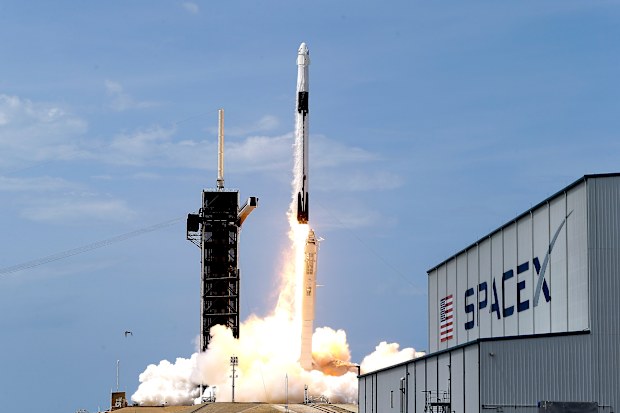 spacex going public