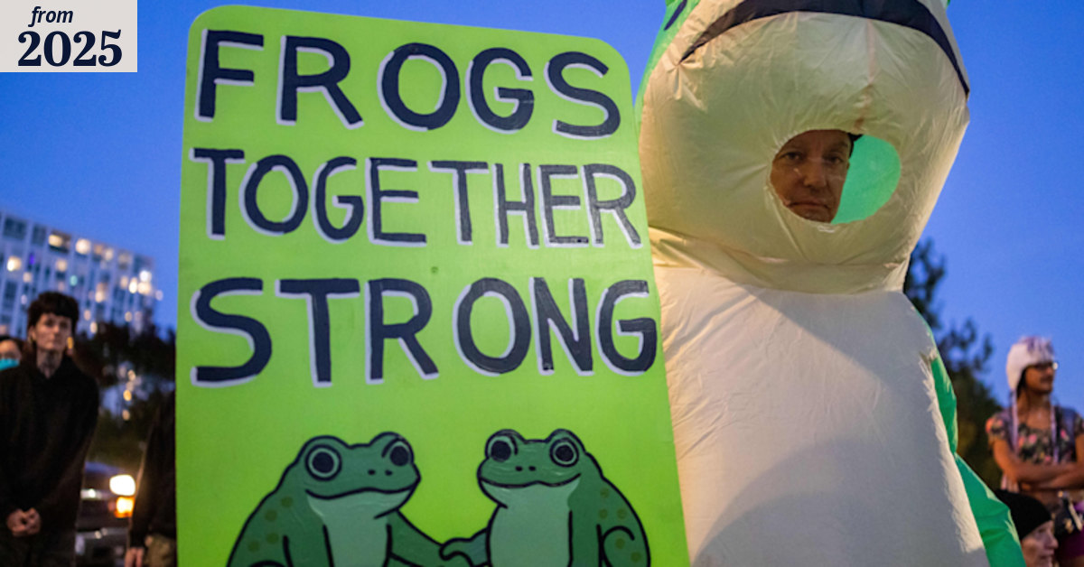 Defying Donald Trump, Portland frog leaps into action in inflatable ...