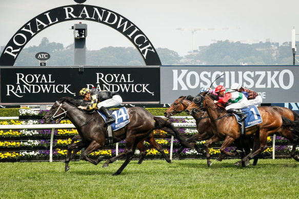 Randwick Kensington races Wednesday: Parksville and Brett Dodson set ...