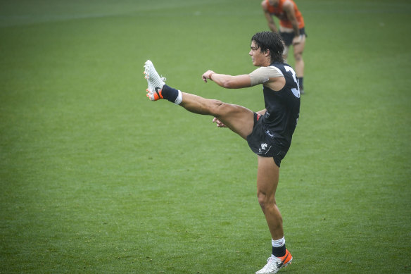 AFL 2020: Ben Silvagni among four Carlton Blues players delisted ...