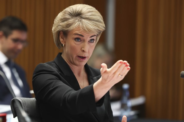 Federal election 2022: Senator Michaelia Cash steps up Liberal Party ...