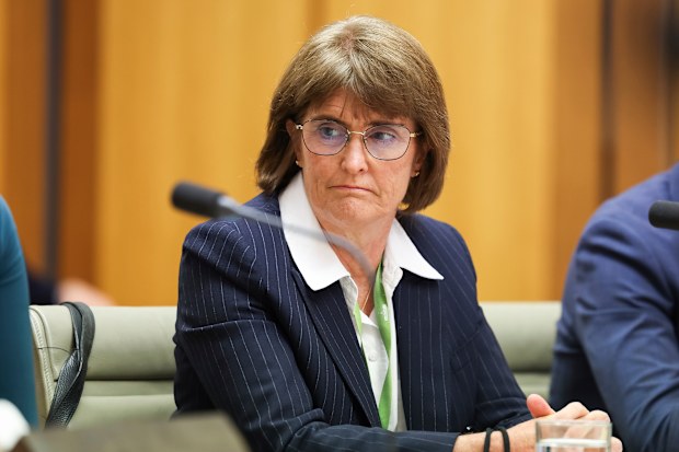 Michele Bullock: RBA boss warns investors could 'exacerbate' housing cycle