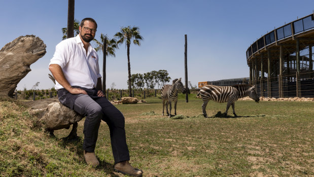 Sydney Zoo hopes to leave Taronga in the shade