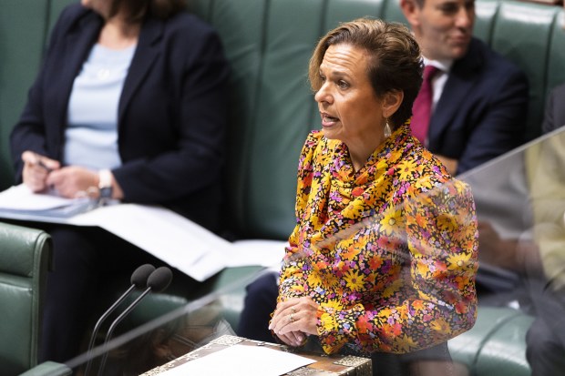 Why Communications Minister Michelle Rowland backs forcing Netflix ...