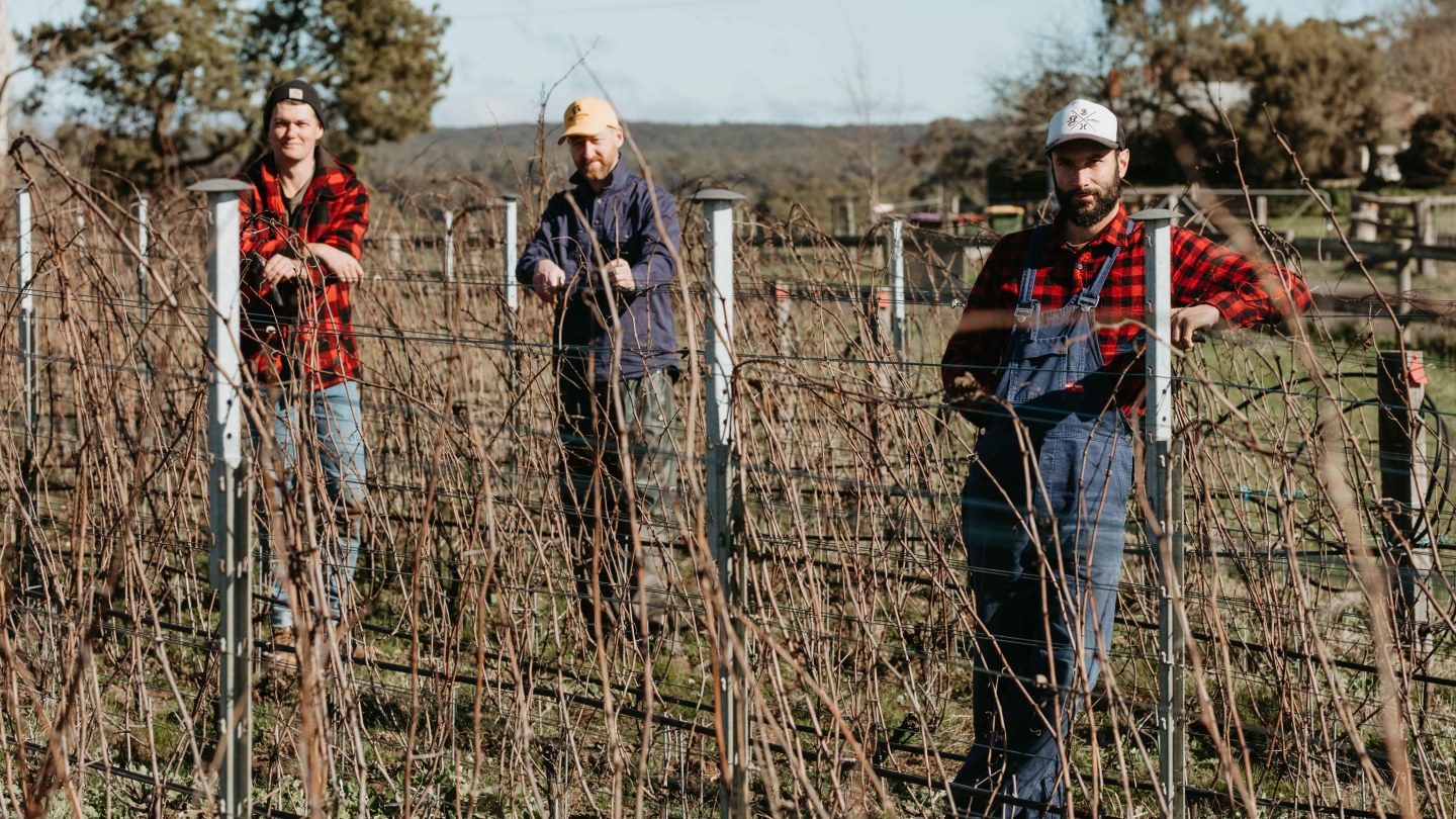 Young Gun of Wine founder Rory Kent says you should champion vineyard ...