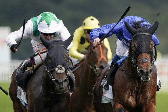 I Am Invincible on cusp of first stallions’ premiership after King Of ...