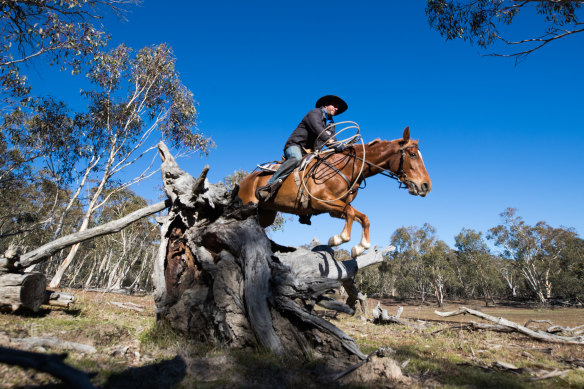 Brumby cull: Call to save brumby-catching heritage
