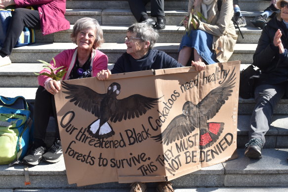 Perth activists call for ban on mining in the jarrah forest at national ...