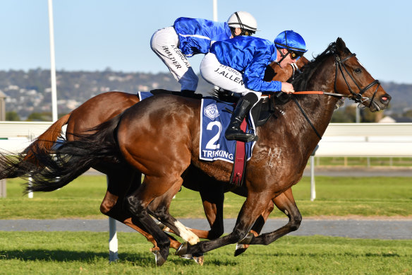 Screening process: TV action won't be the same as Trekking north for ...