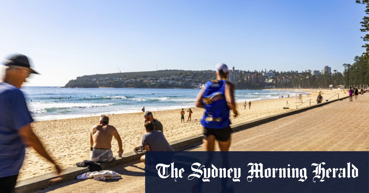 The Sydney summers that changed everything