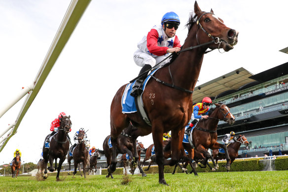 Racing 2023: Tulloch Lodge warming to the spring carnival after The ...