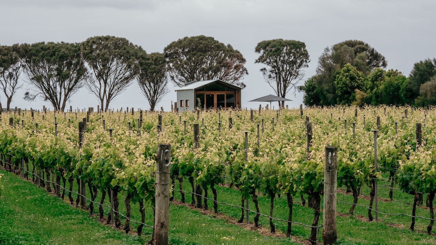 The best restaurants, hotels and happenings coming to Victoria in 2026