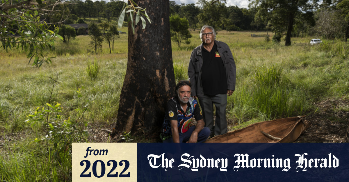 ‘I am number 56’: Uncle Harry Ritchie rediscovers his lost Indigenous ...