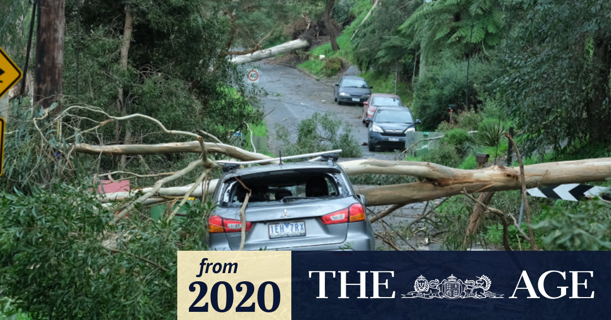 'Now is the time to prepare': Severe wind warning for Wednesday