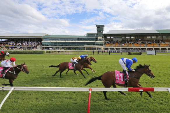 Newcastle races Tuesday tips and full preview