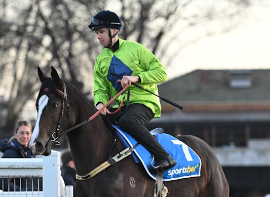 Warrnambool fall: Tom Prebble suffers spinal injury after Pulveriser ...