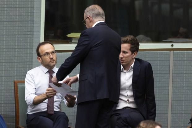 Anthony Albanese, Max Chandler-Mather, housing fund: Labor fights Green ...