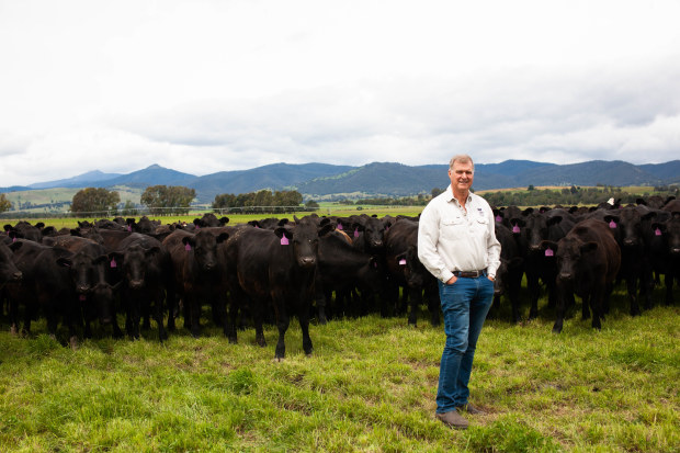 Tim Roberts-Thomson: Woolnorth Aggregation owner says farmland still ...