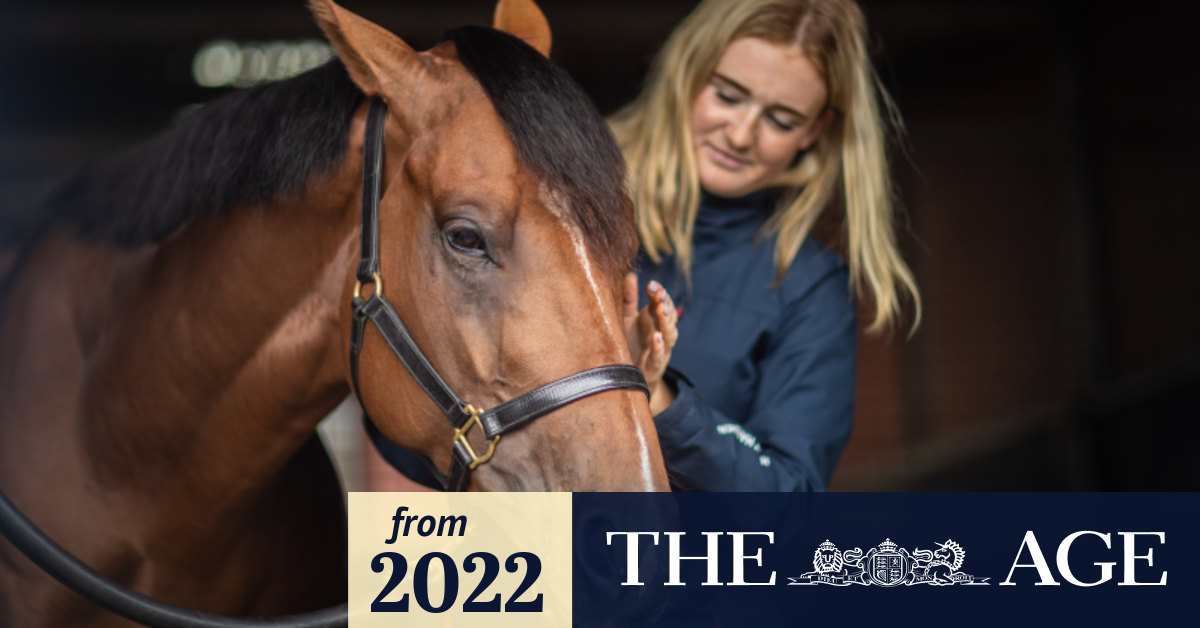 Spring Racing Carnival 2022: ‘We just had to back ourselves’: The story ...