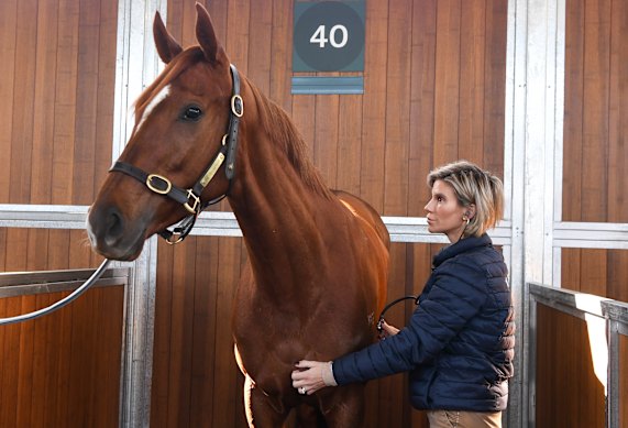 Chief vet Grace Forbes has ended her legal fight with Racing Victoria ...