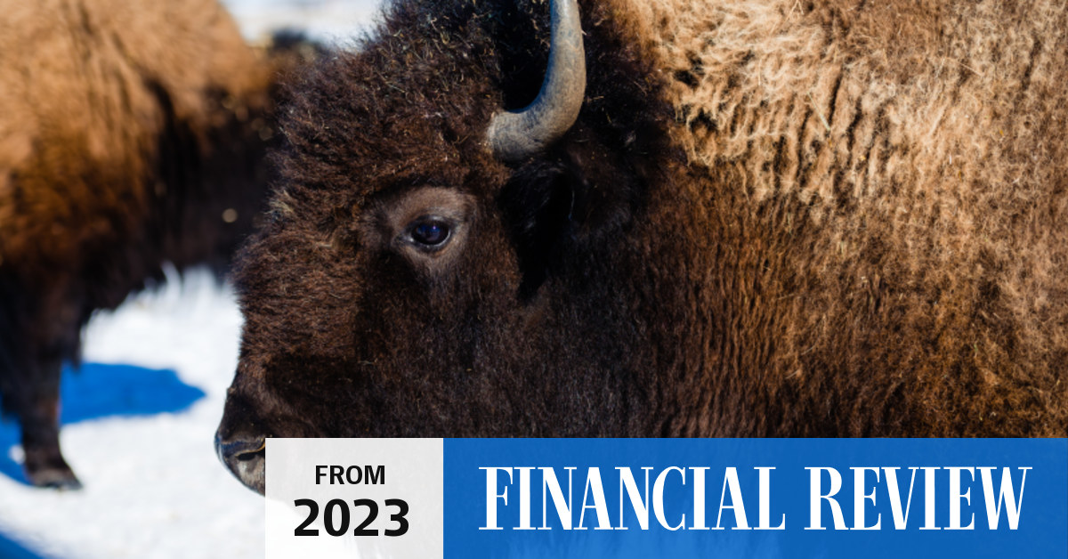 How a lonely cattle ranch became a contender for World Heritage status