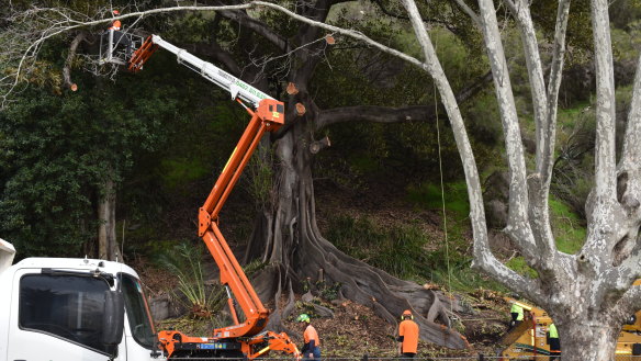 Perth | Local News, Weather, Traffic, Guides & Opinion | WA Today