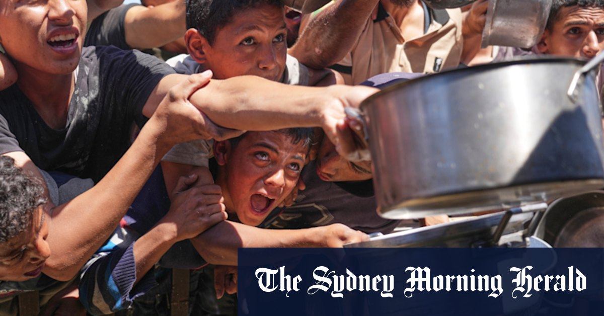 Please. End the suffering and feed Gaza’s poor, starving children