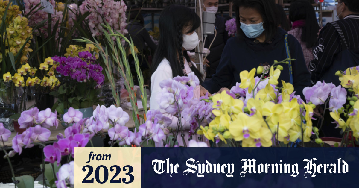 Year of the Rabbit flowers: Best picks for happiness, luck and success