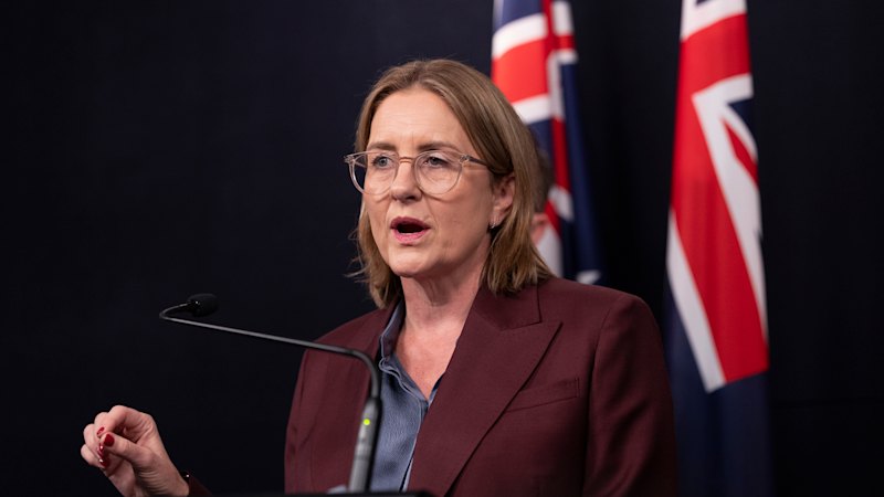 Victorian gun laws: Allan government rejects proposal to cap number of ...