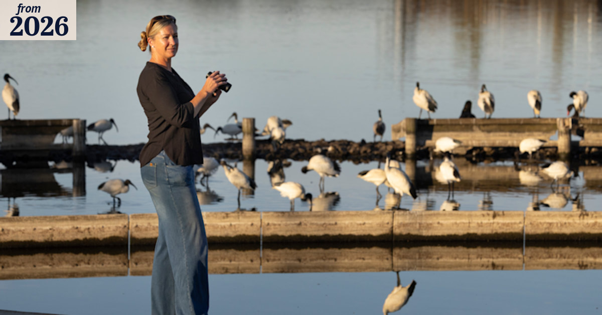 Albert Park Lake: Residents fear more bird deaths due to avian botulism ...