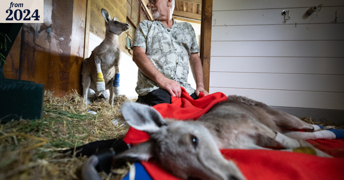 The Age photos of the week, March 8, 2024