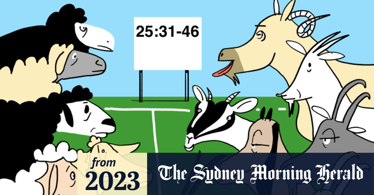 Cartoons of the week