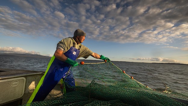 Victoria’s commercial fishers form an unlikely alliance with ...