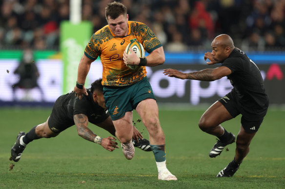 Bledisloe Cup 2023 LIVE updates: Australia Wallabies v New Zealand All ...