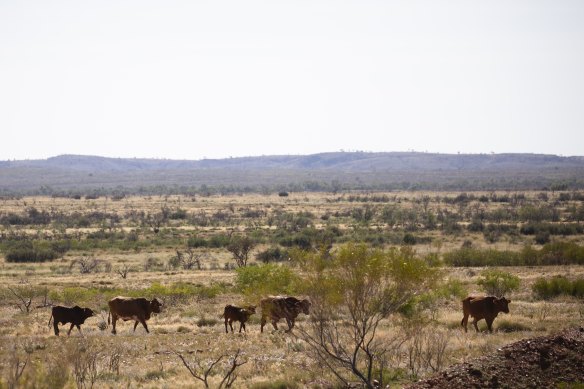 Three million hectares of WA land to be released for carbon farming