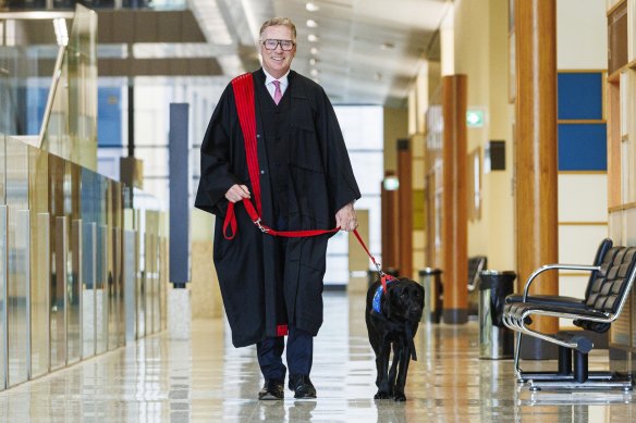 Therapy dogs, assistance dogs, support dogs: Paw and order: Poppy keeps ...