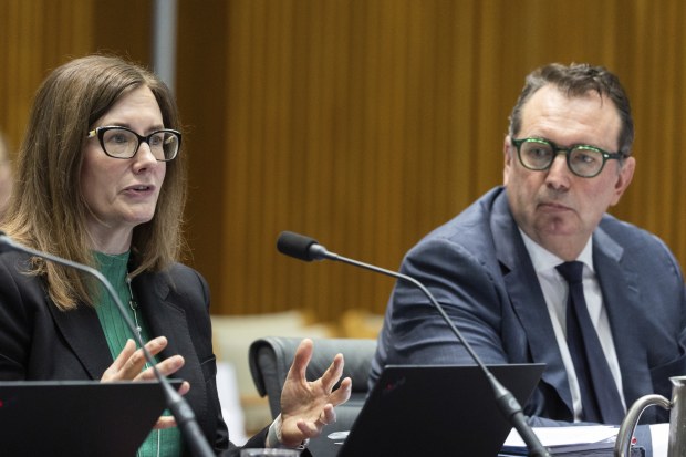 ASX CHESS replacement: Exchange ignored warnings and made unworkable ...