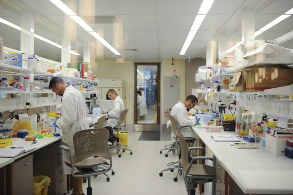 Budget boost for Queensland-made vaccines