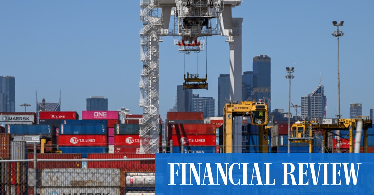 Cost of containers: ACCC’s Anna Brakey says it’s too soon to regulate ...