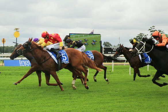 Race-by-race preview and tips for Warwick Farm on Monday